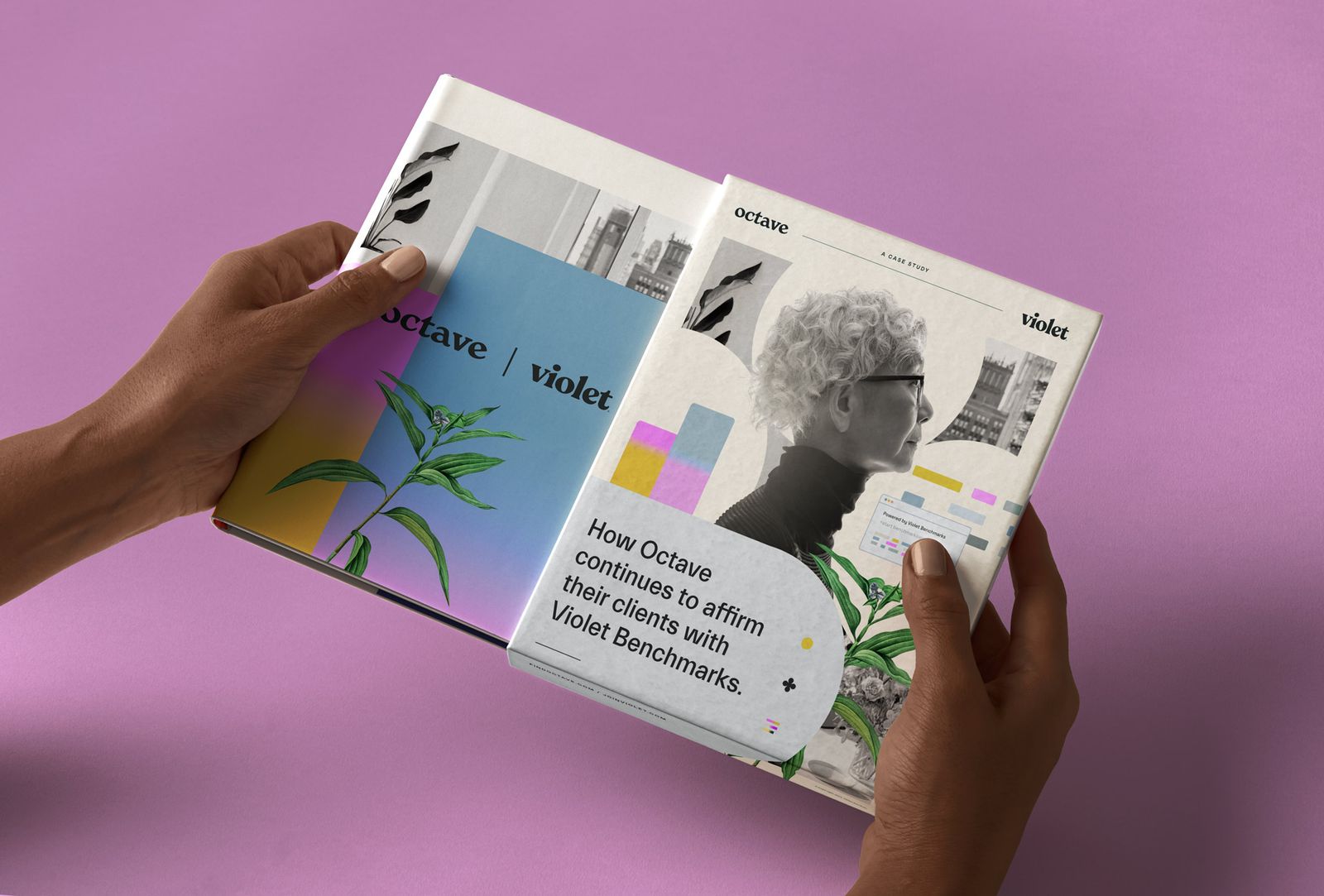 Violet | Case Studies