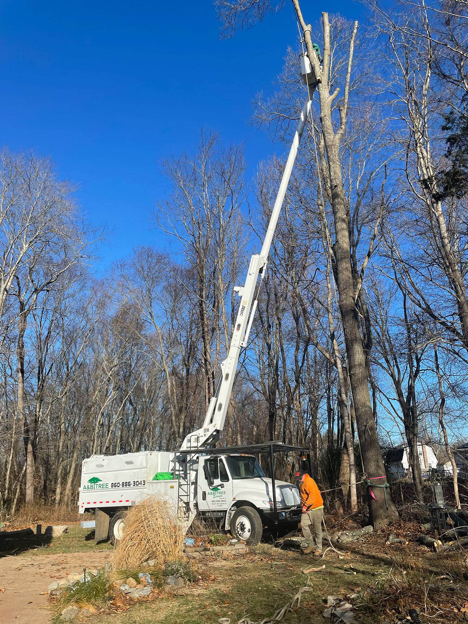 A&B Tree Service | Tree Removal Services in Connecticut