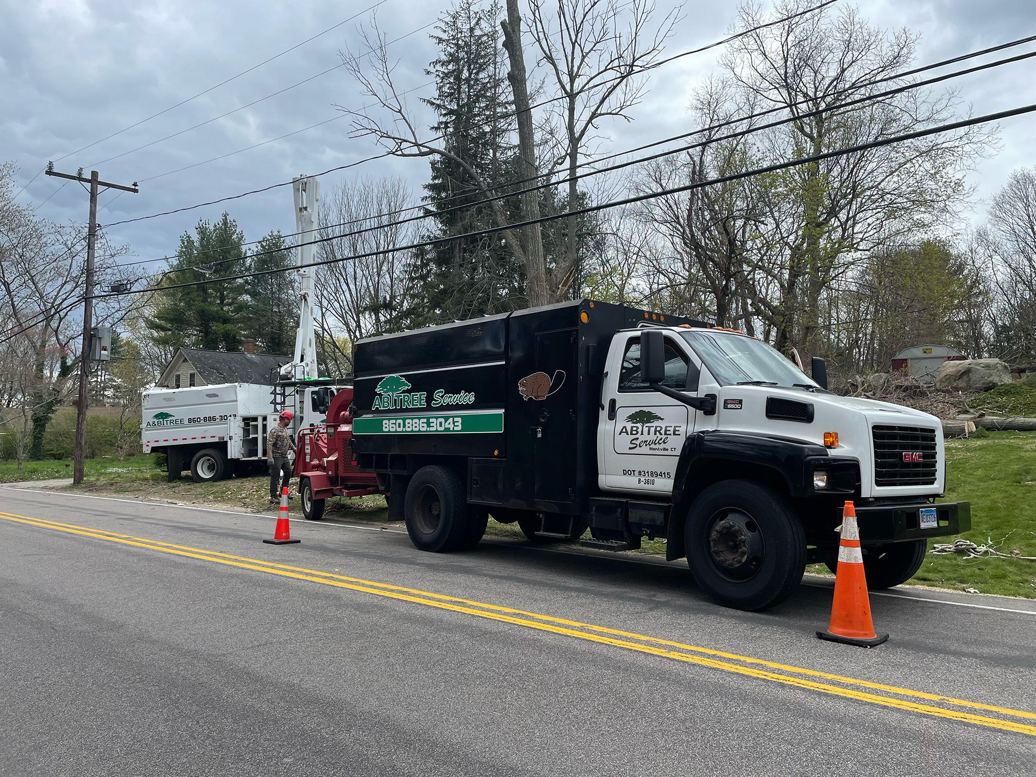 Tree Removal, Land Clearing, and Tree Pruning Services | A&B Tree Service