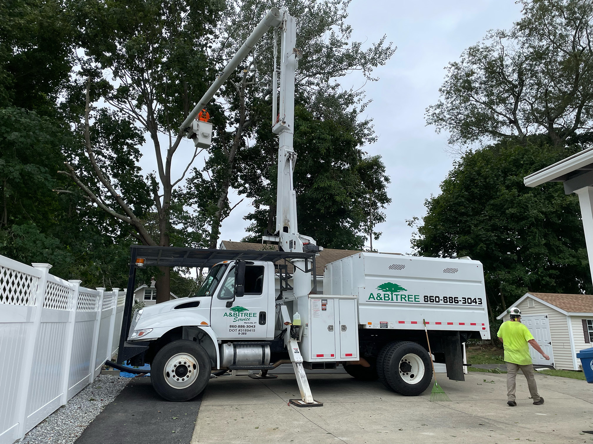 The Essential Guide to A&B Tree Service: Everything You Need to Know ...