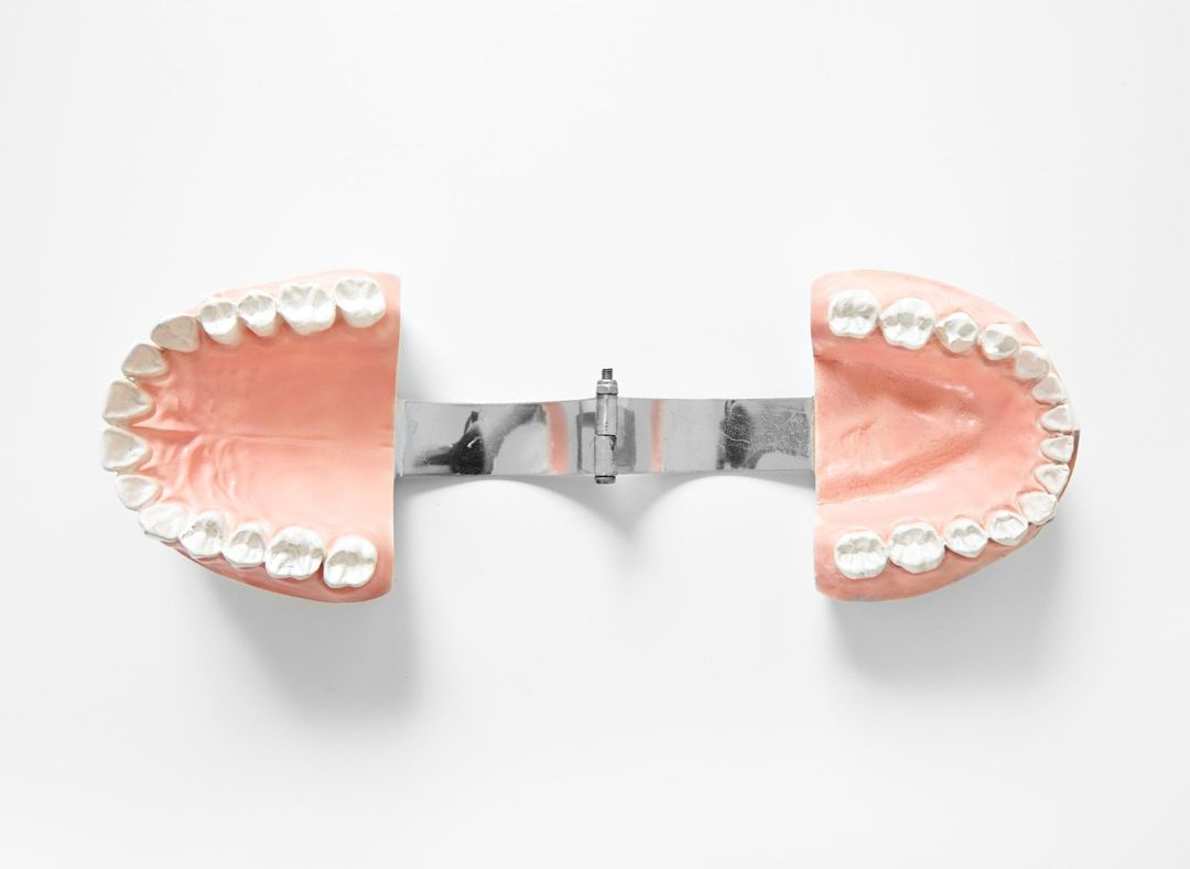 Understanding the Parts of a Tooth