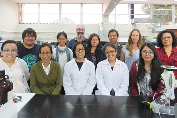 Grupo de Análisis de Materiales de Patrimonio Cultural (GAMPAC ...