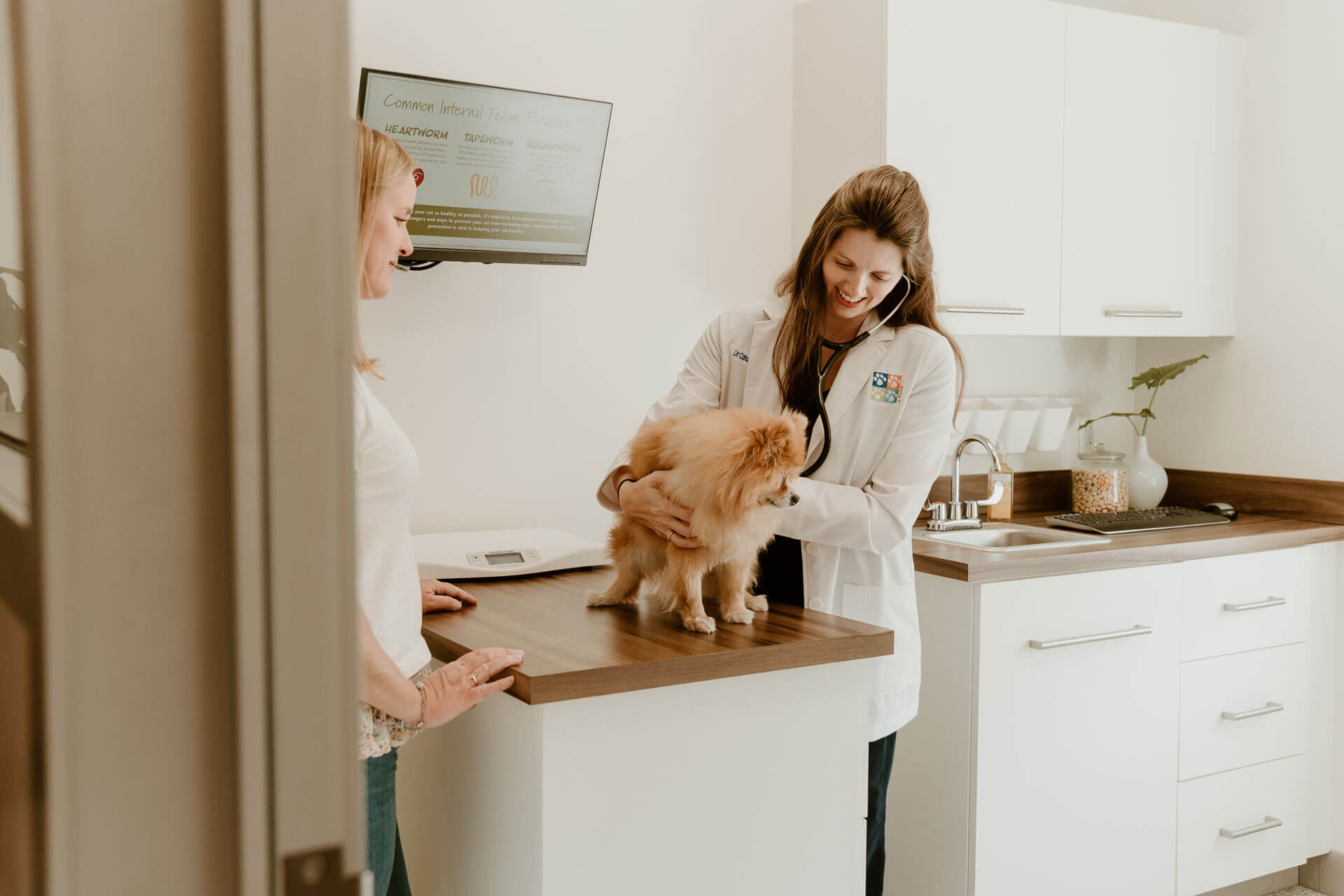 Expert Veterinary Care in Winter Park