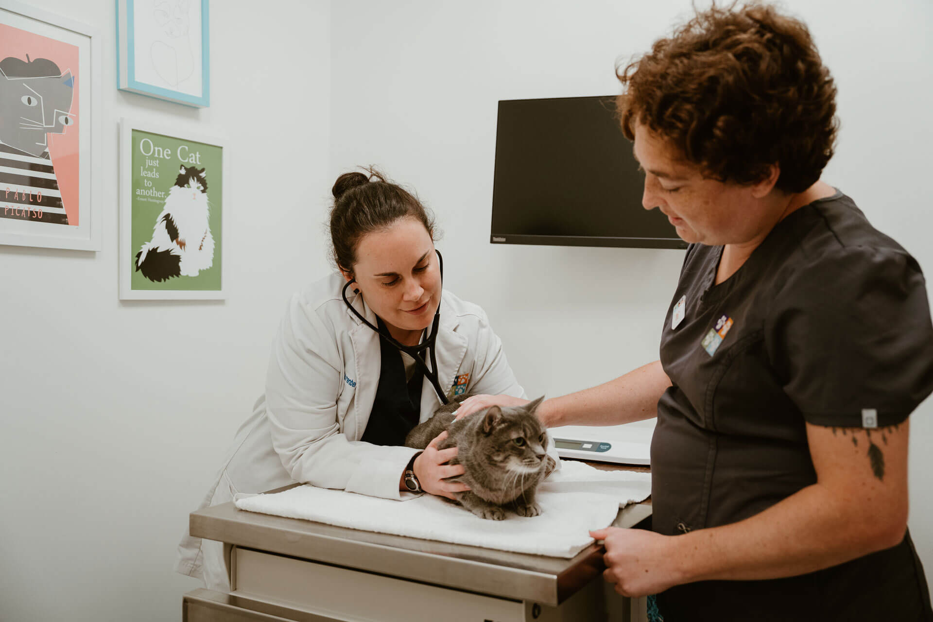 Expert Veterinary Care in Winter Park
