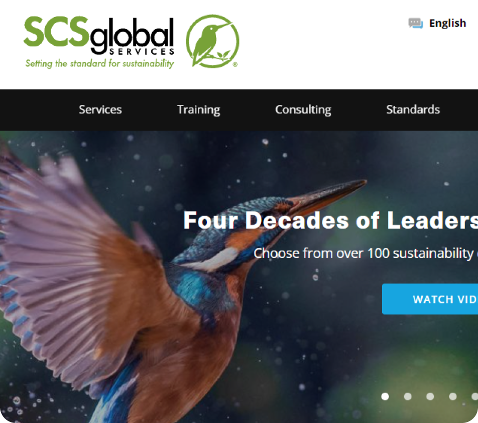 SCS Global Services: Combing machine translation and editing control