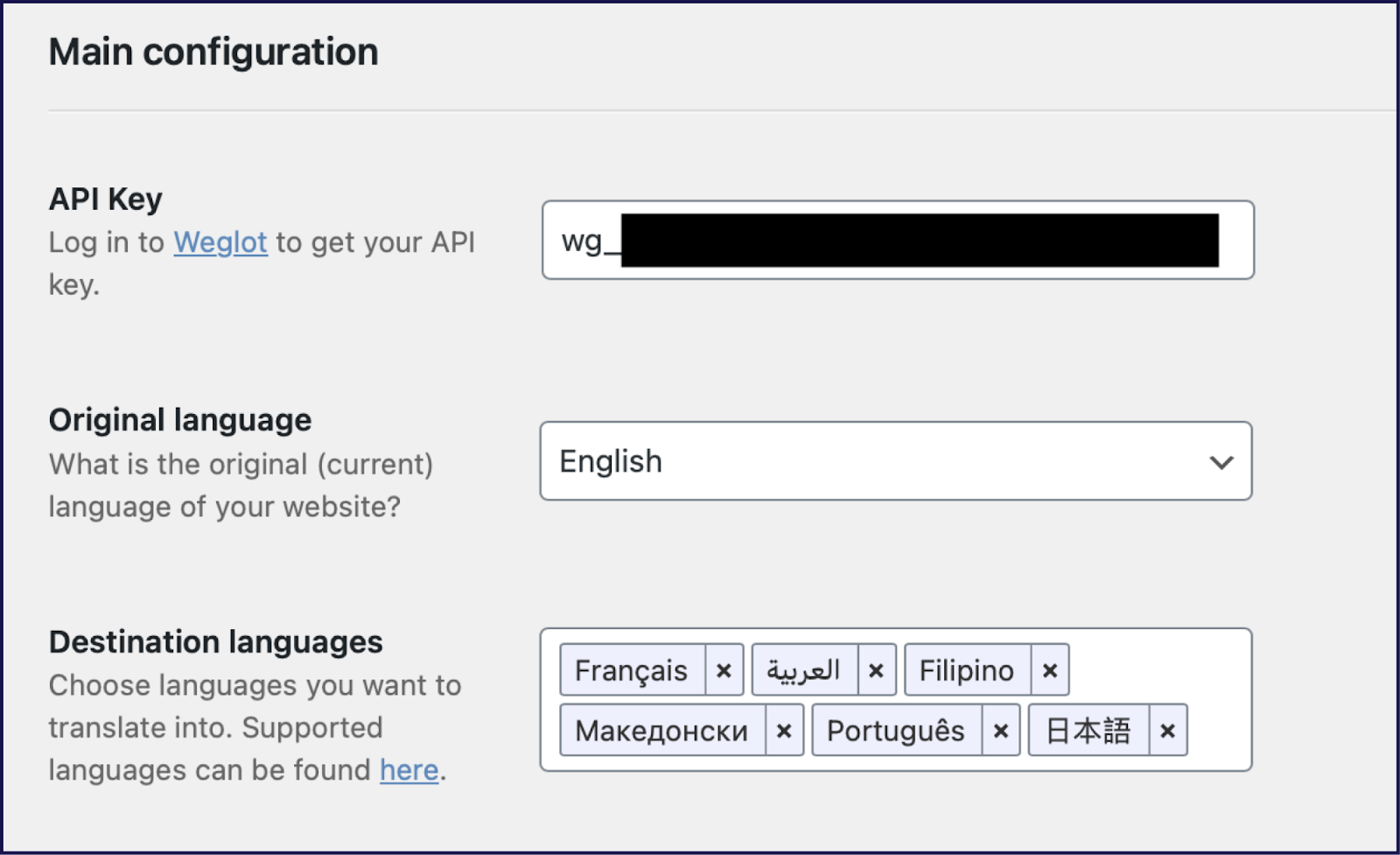 The Best Machine Translation Software You Can Try in 2024