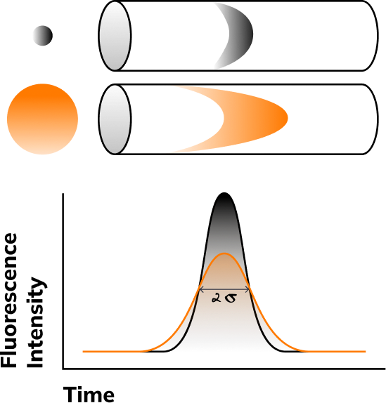 FIDA: Flow Induced Dispersion Analysis - Molecular Interactions with no ...