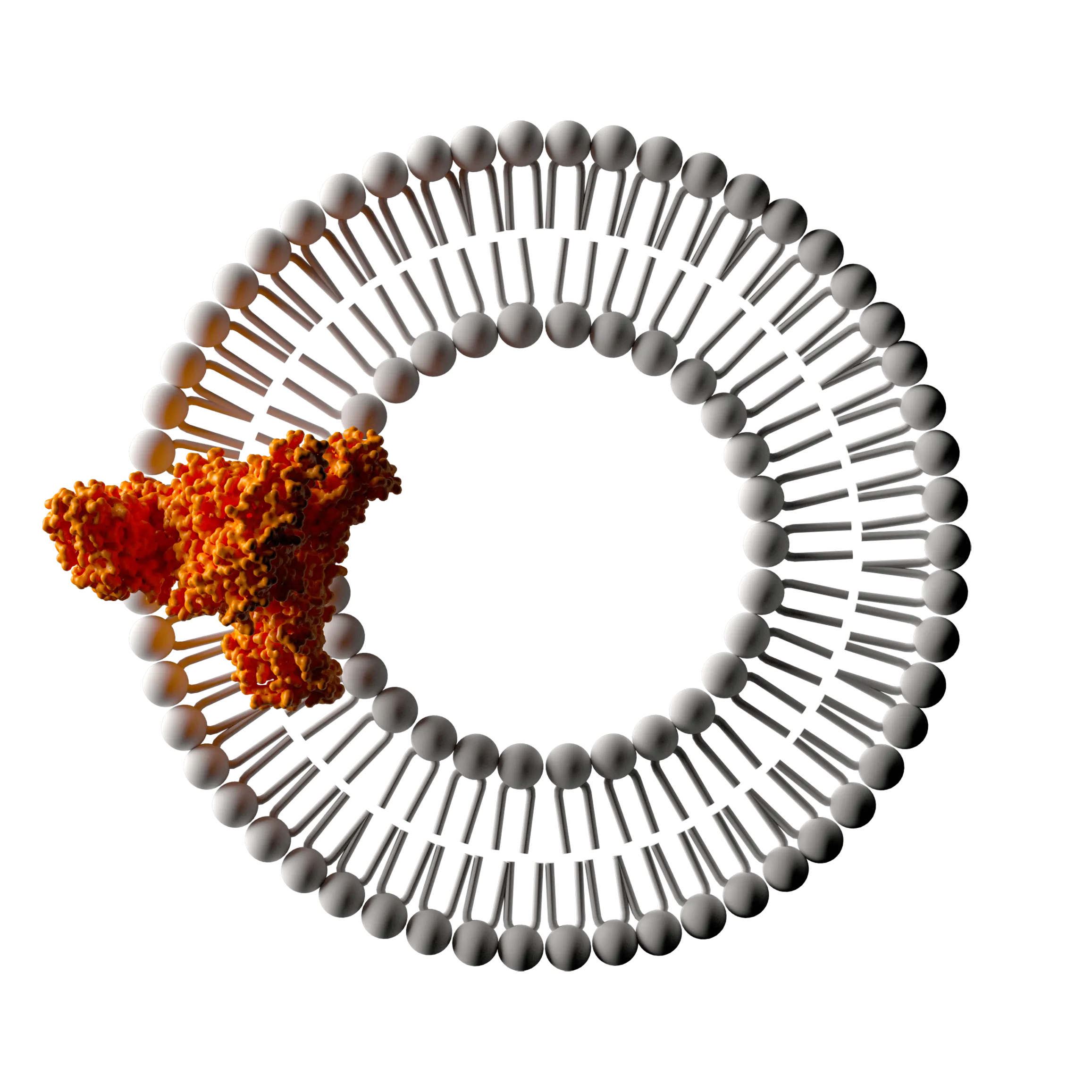 FIDA Membrane protein characterisation - without purification