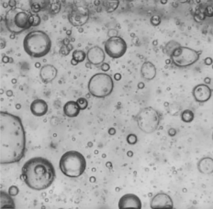 Biomolecular Condensates - LLPS - FIDA for aggregates quantification