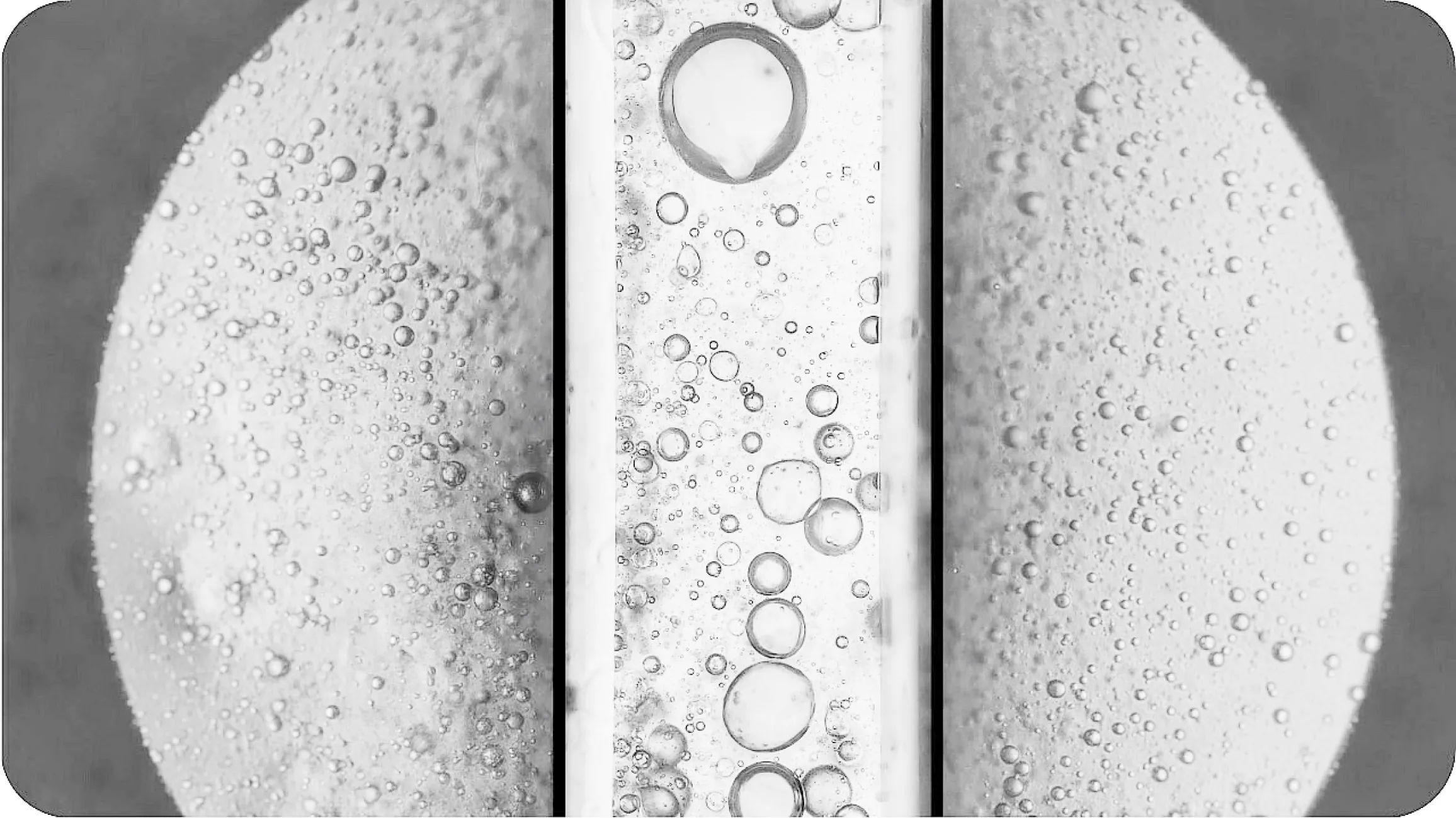 Biomolecular Condensates - LLPS - FIDA for aggregates quantification