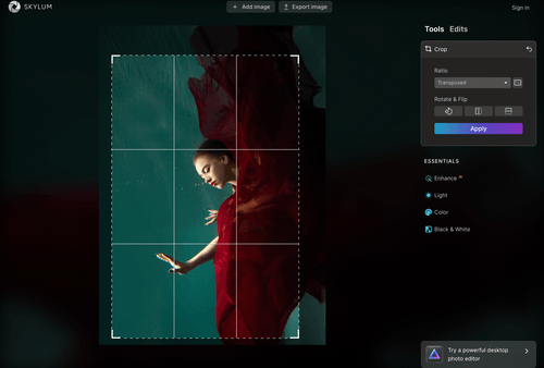 Rotate Photo Online Free: Make Image Spin Online I Skylum