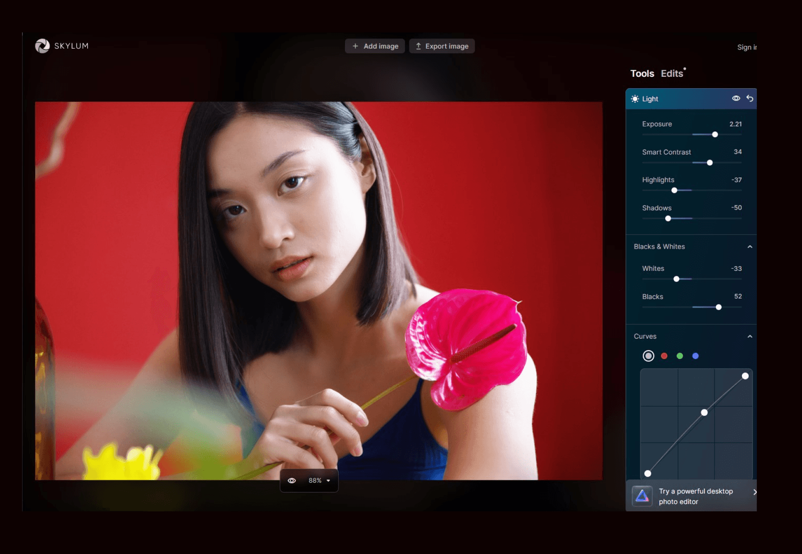 Relight photo: Lighting Editor Online Free - Slylum