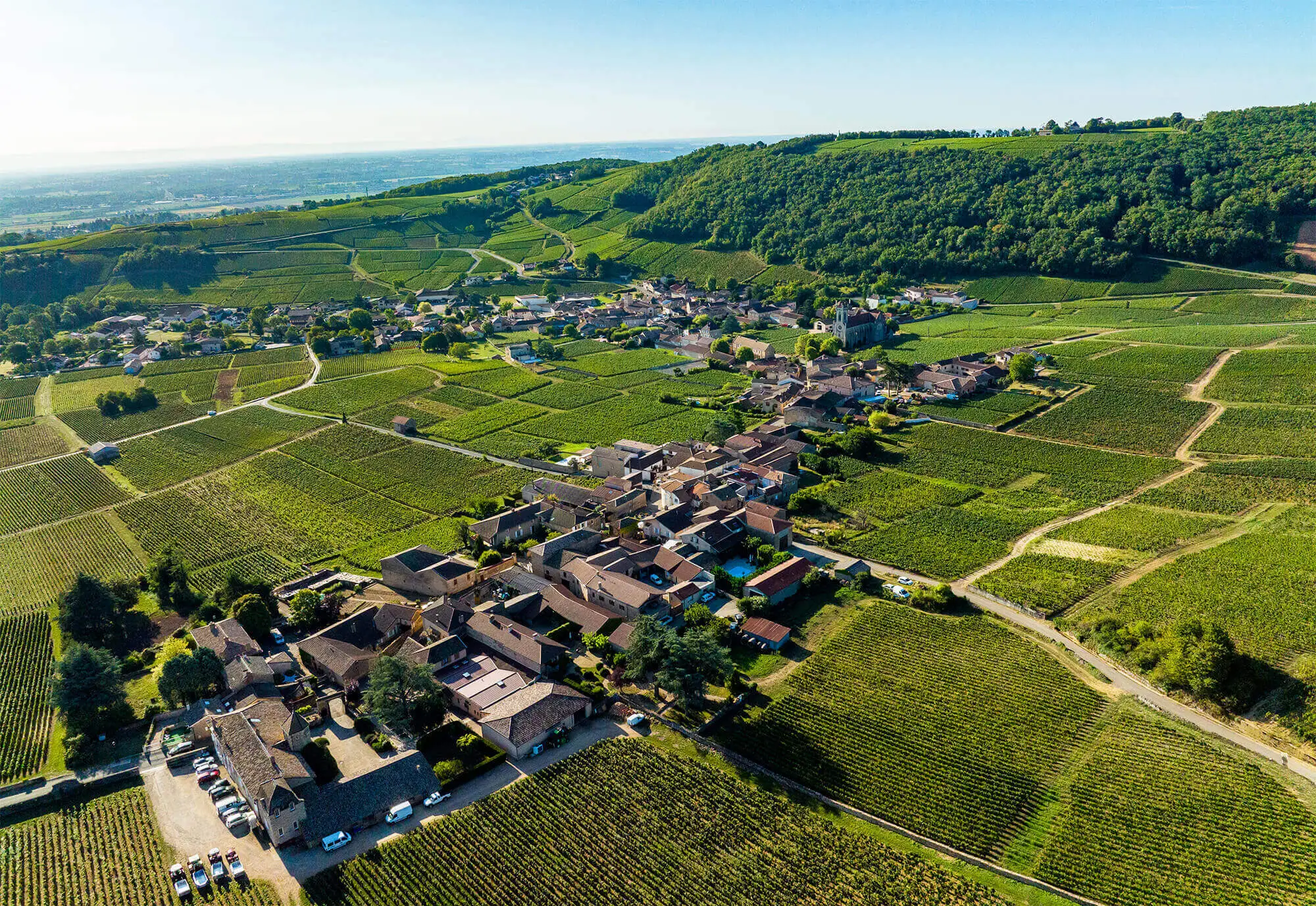Domaine Georges Burrier | Vignoble à Pouilly Fuissé