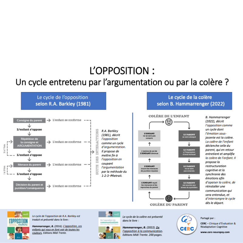 L'opposition : Un cycle entretenu par l'argumentation ou par la colère ...