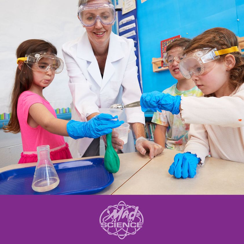 Events at Periwinkle Fox