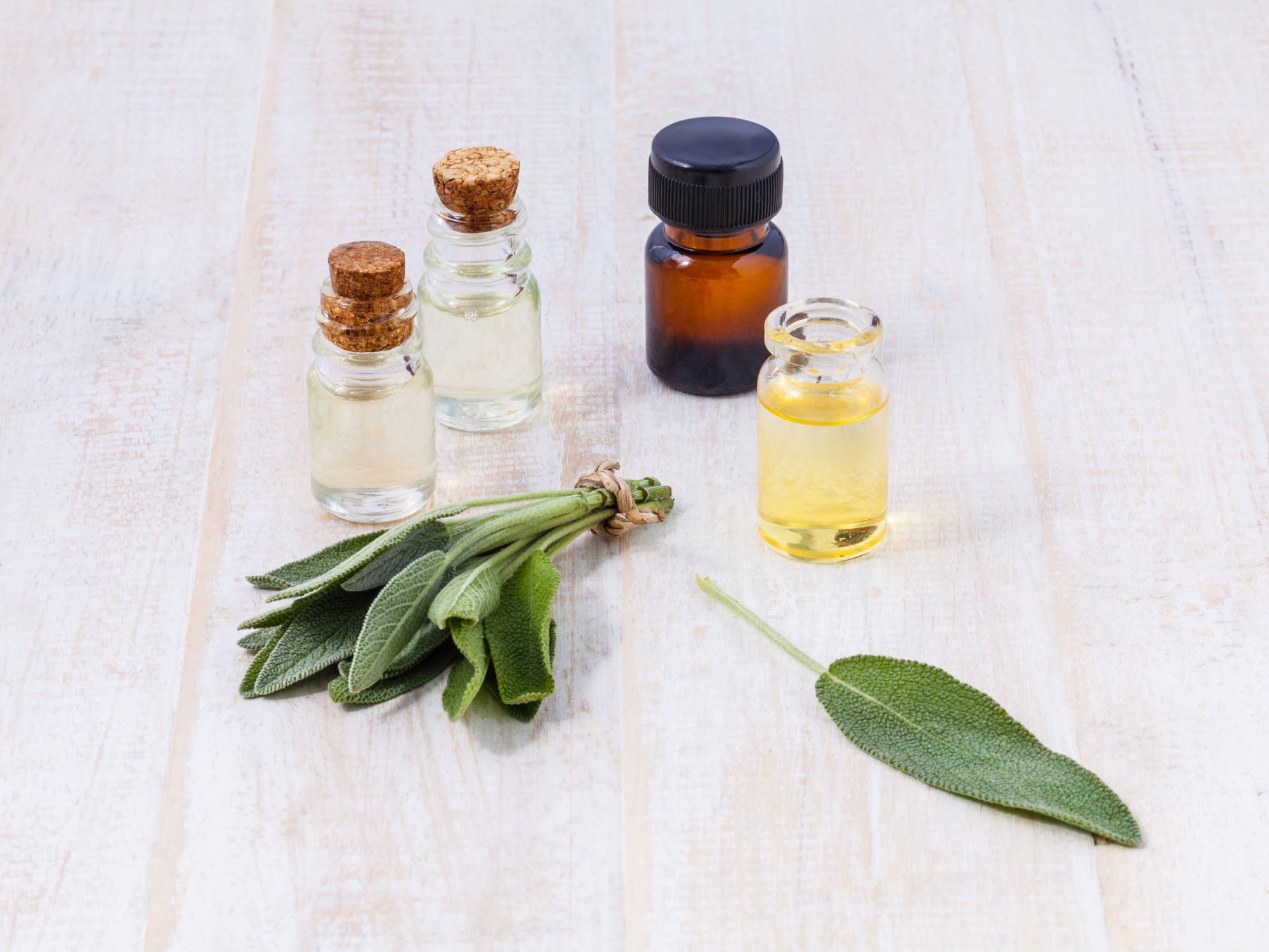 Heallist - holistic modalities | Bach Flower Therapy Heallist - holistic modalities | Bach Flower Therapy