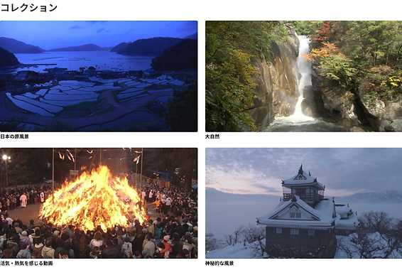 2021年6月のEXest社活動報告