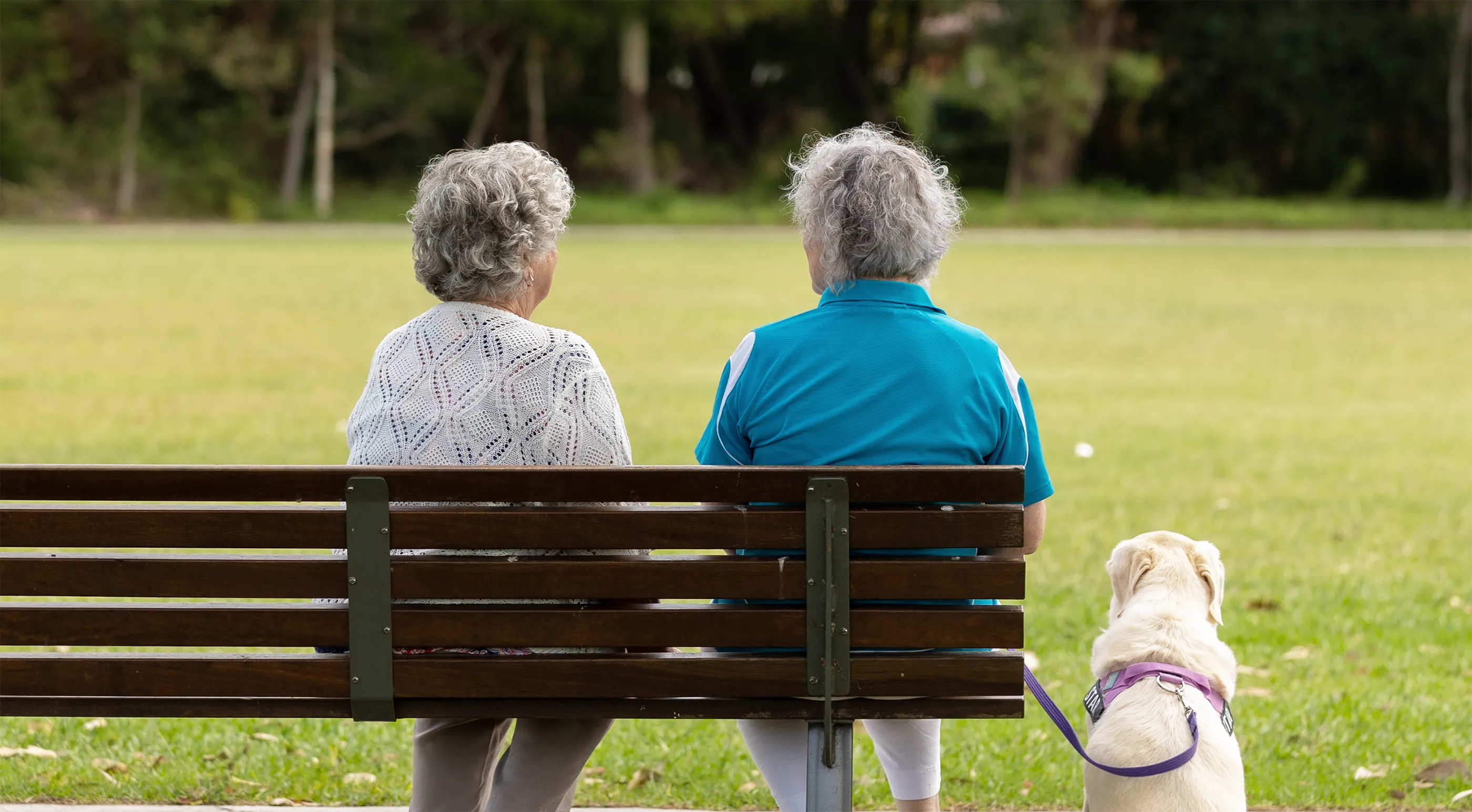 Linked Community Services - Transportation and Social Outings