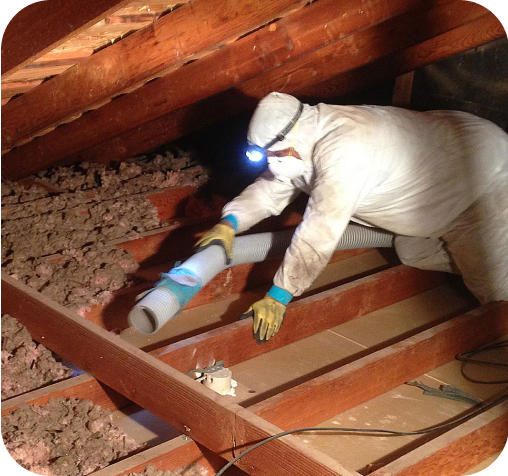 All Seasons Insulation: $100 Off Attic Insulation Project