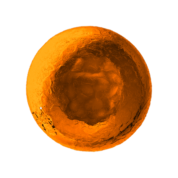 medtoday MasterClass