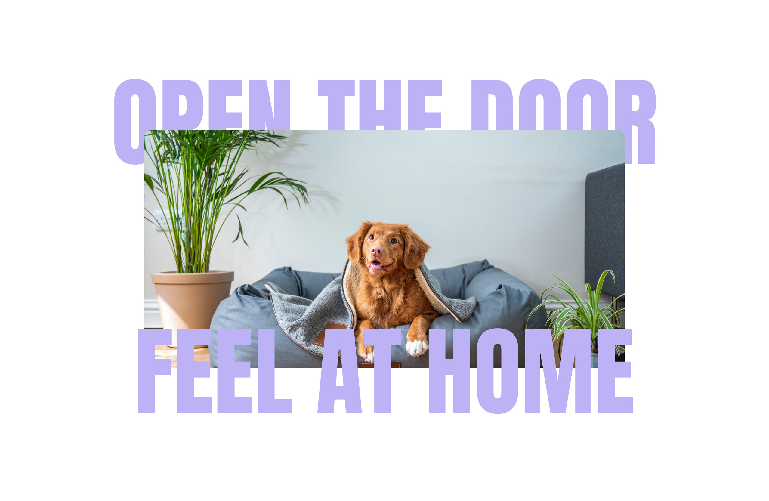 Moving Doors - Case Study