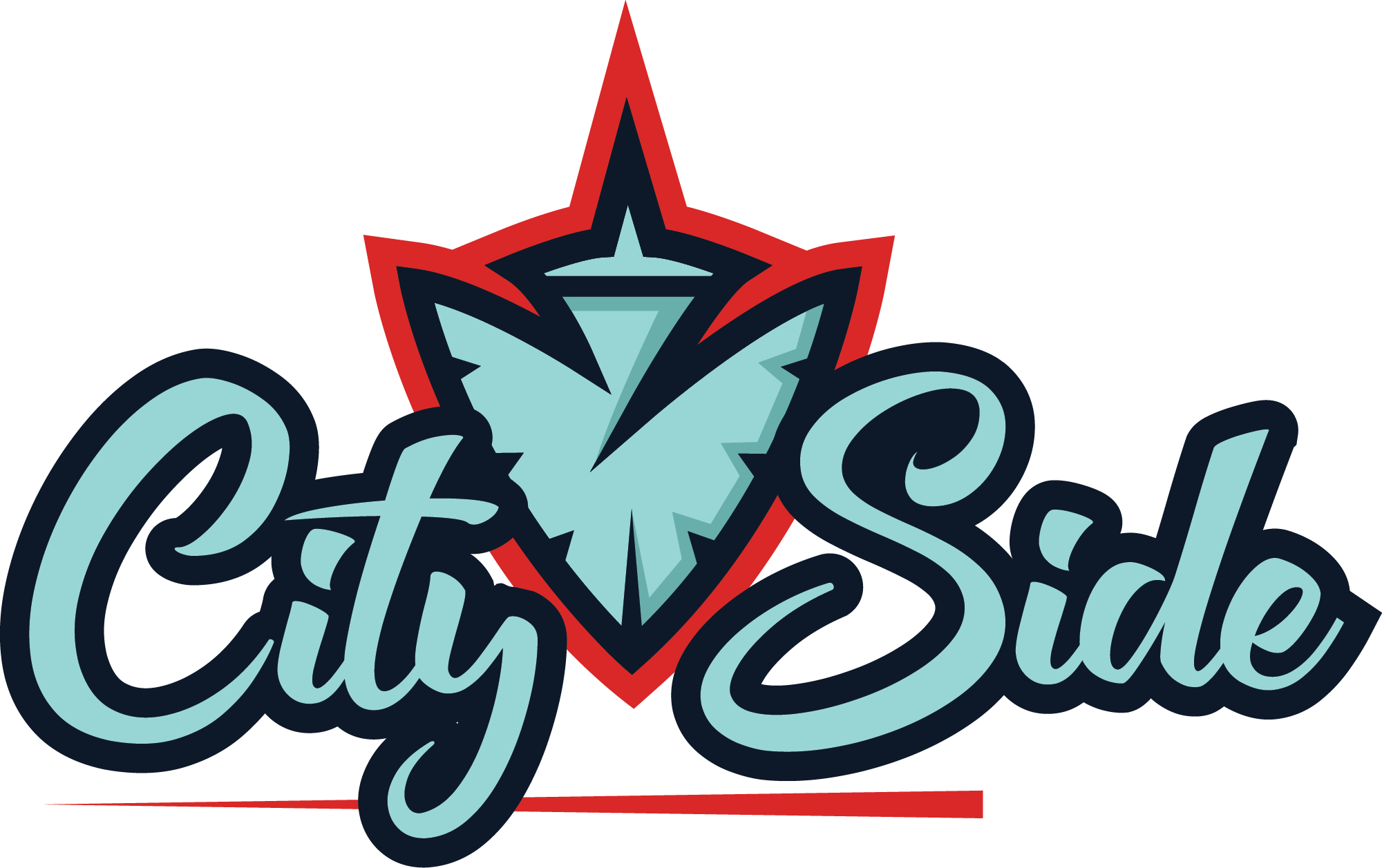 Overview | CitySide Lax | Seattle