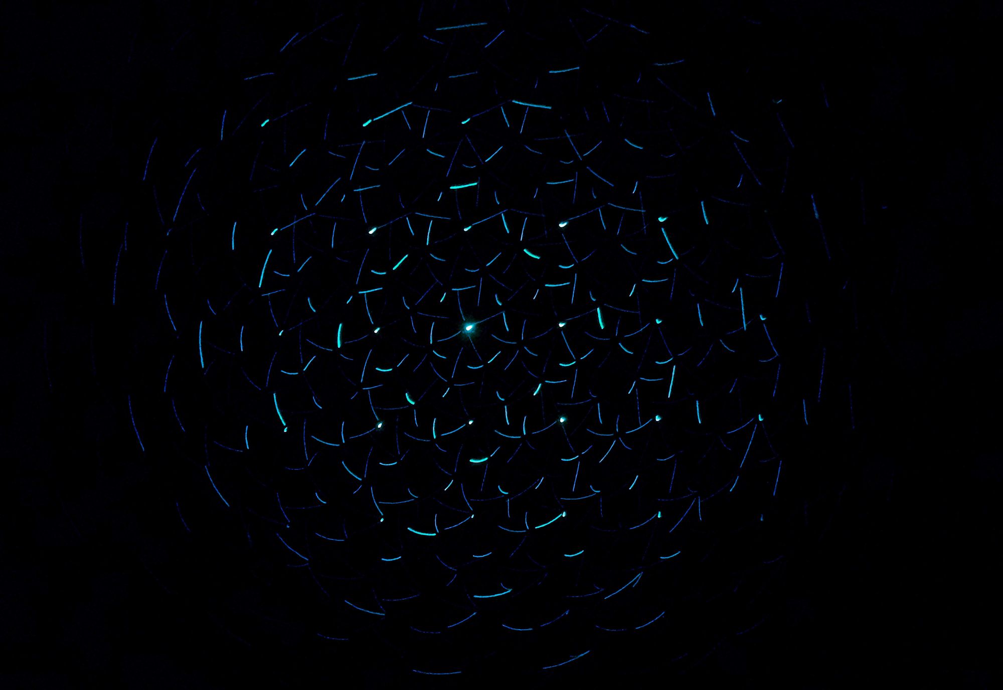 What is the $IMX Crypto Token and How is it Used? | Immutable Blog