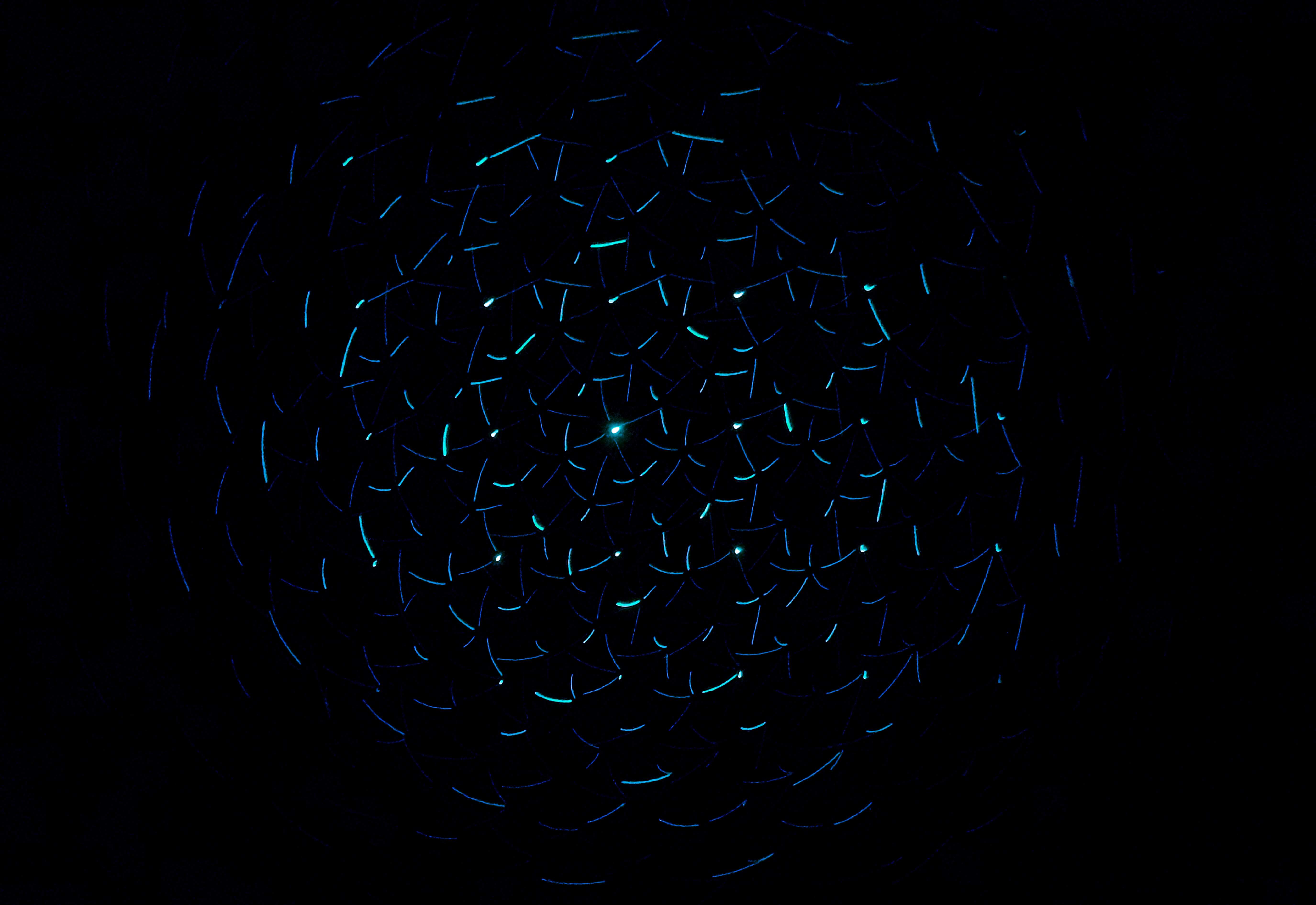 What is the $IMX Crypto Token and How is it Used? | Immutable Blog