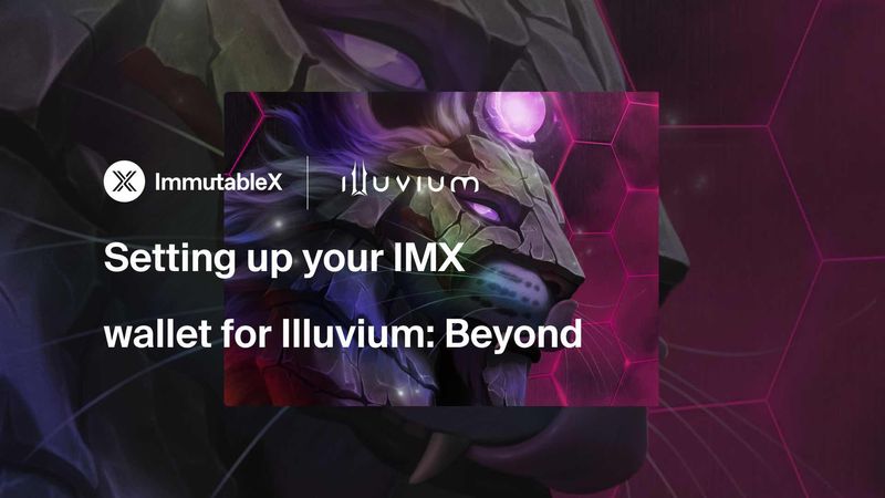Illuvium: Beyond Mint Checklist - Setting Up Your IMX Wallet ...