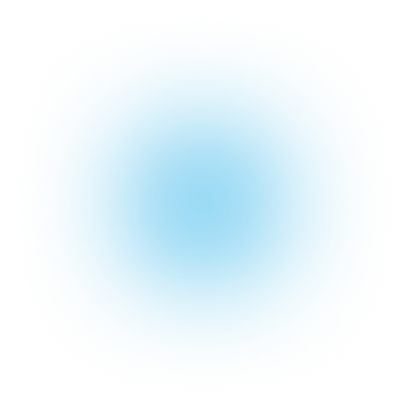 Netsach - Premier Business Protection Services