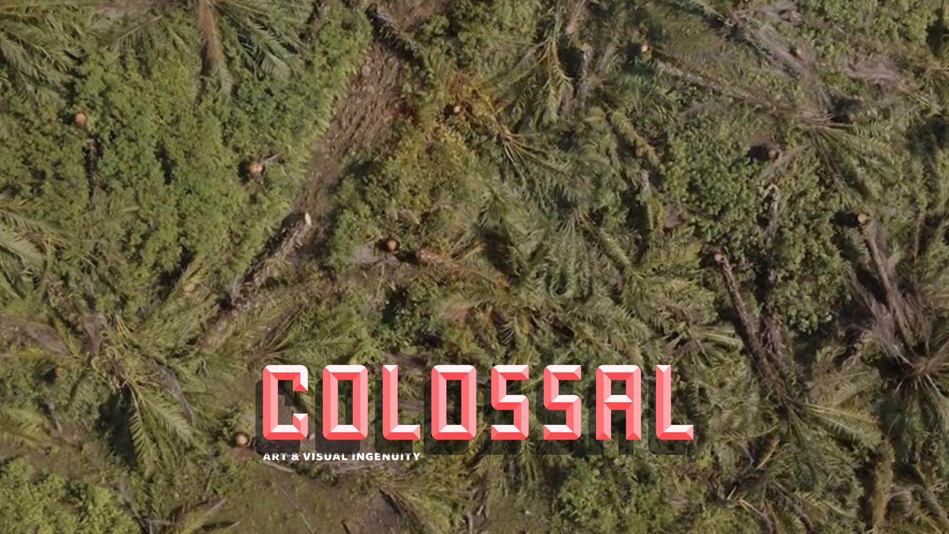 Rewild Trailer Release on Colossal - Portrait - Webflow Ecommerce ...