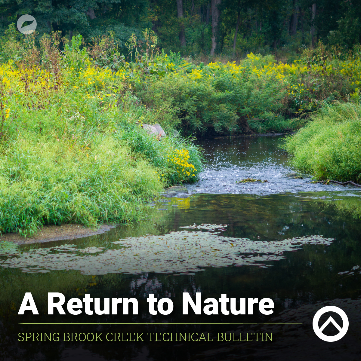 A Return to Nature: Spring Brook Creek