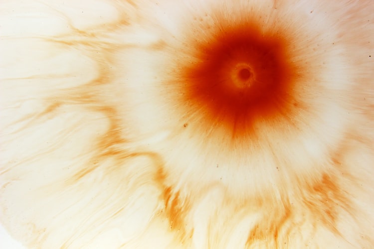 What Files to Include in Your Asset Repository