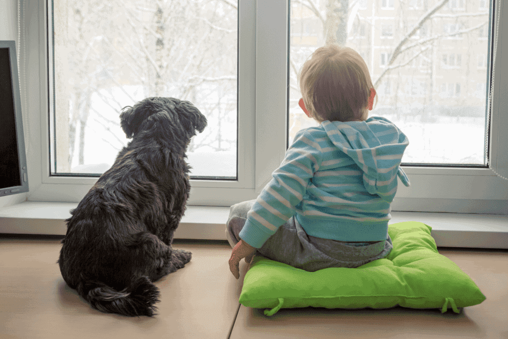 3 Ways to Prevent Window Cracks Due to Cold Weather | Clera Windows + Doors