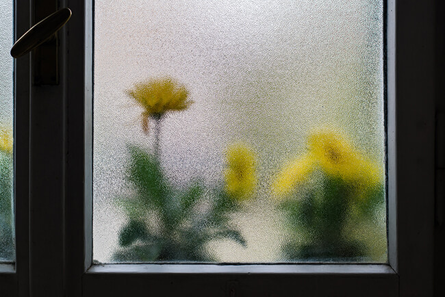 Best Types of Glass Finishes | Clera Windows + Doors