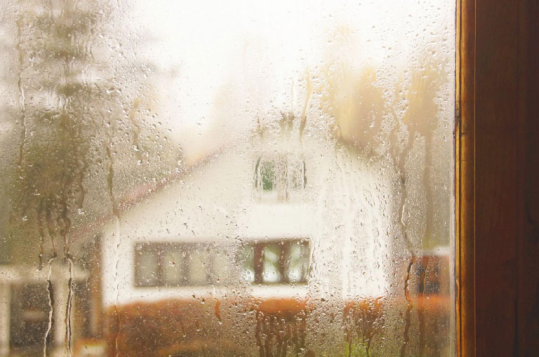 7 Reasons Why Your Windows Are Leaking | Clera Windows + Doors
