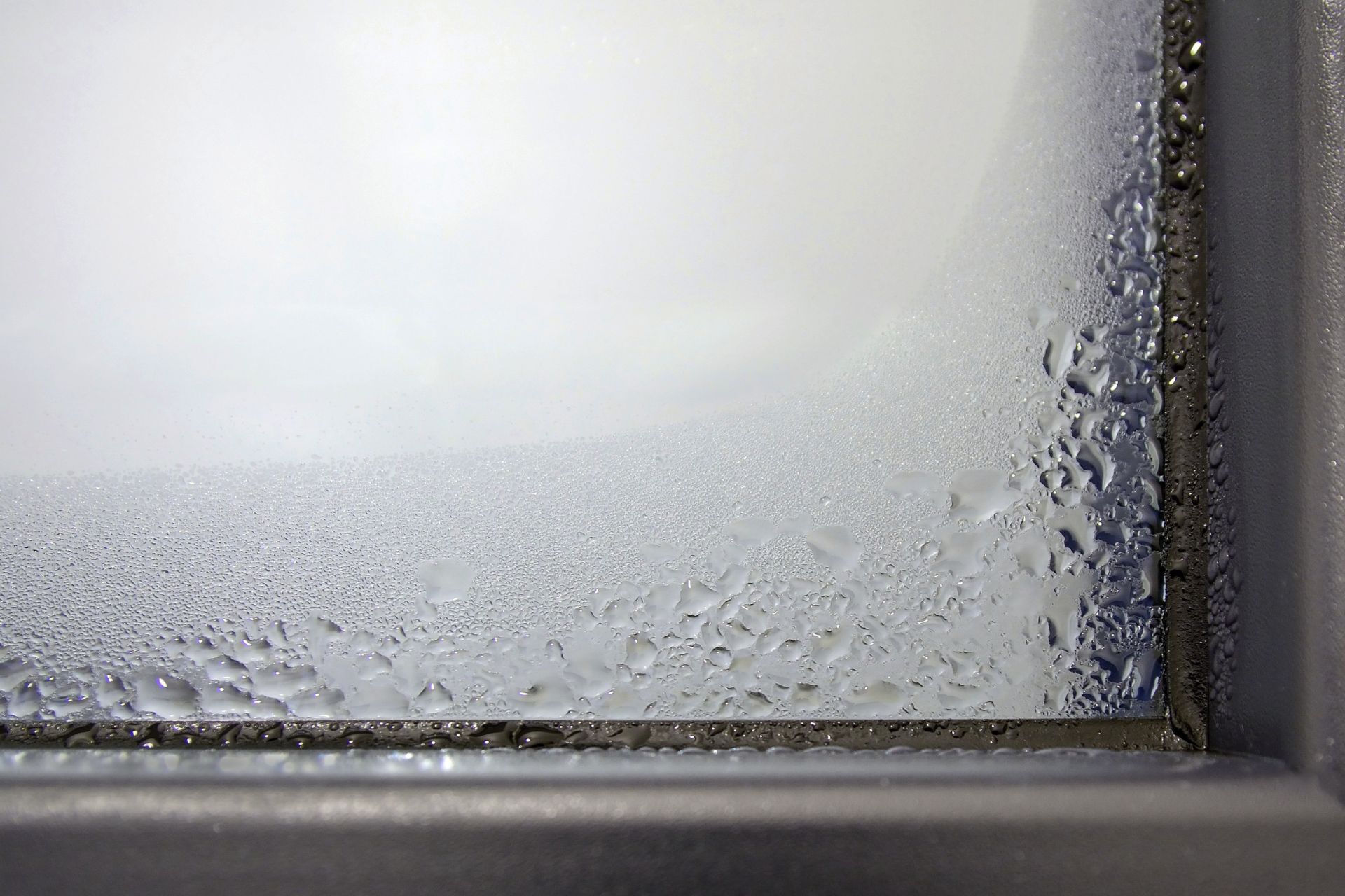 6 Window Maintenance Tips for Long-Lasting Performance | Clera Windows ...