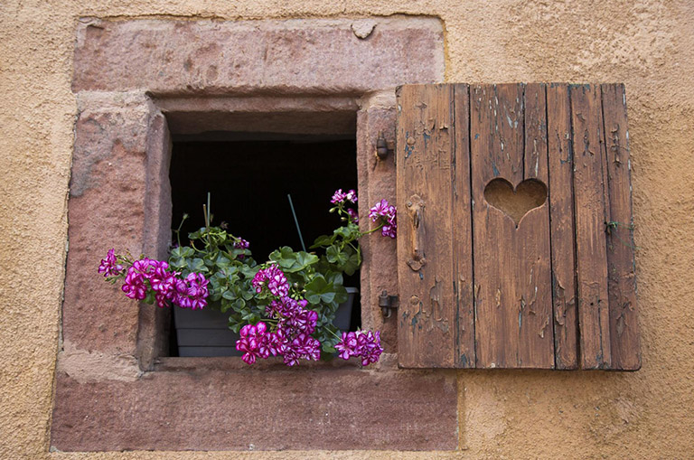 5 Shutter Ideas for Windows | Clera Windows + Doors