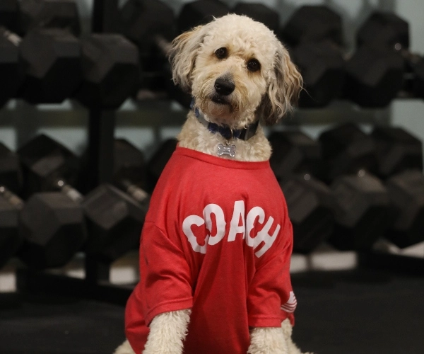 About CrossFit Lodestar in Lexington, SC