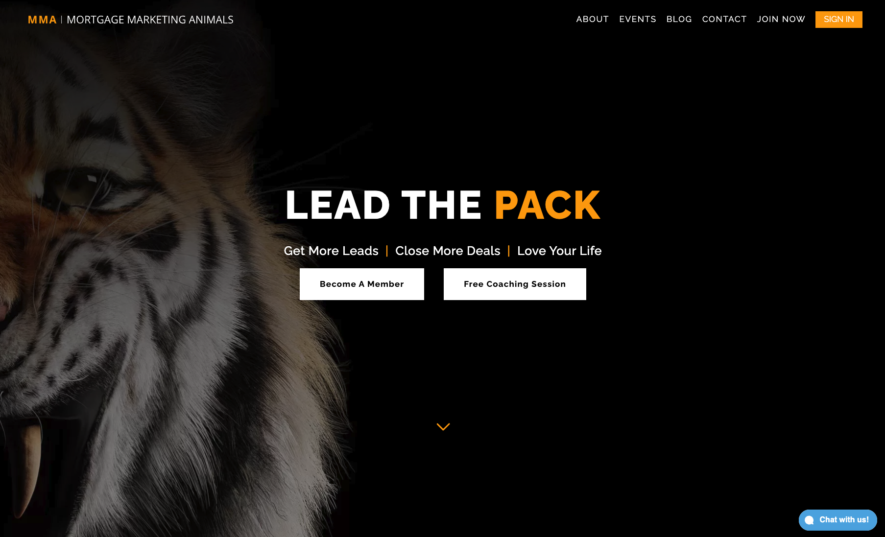 Portfolio: Mortgage Marketing Animals - Greenroom Marketing