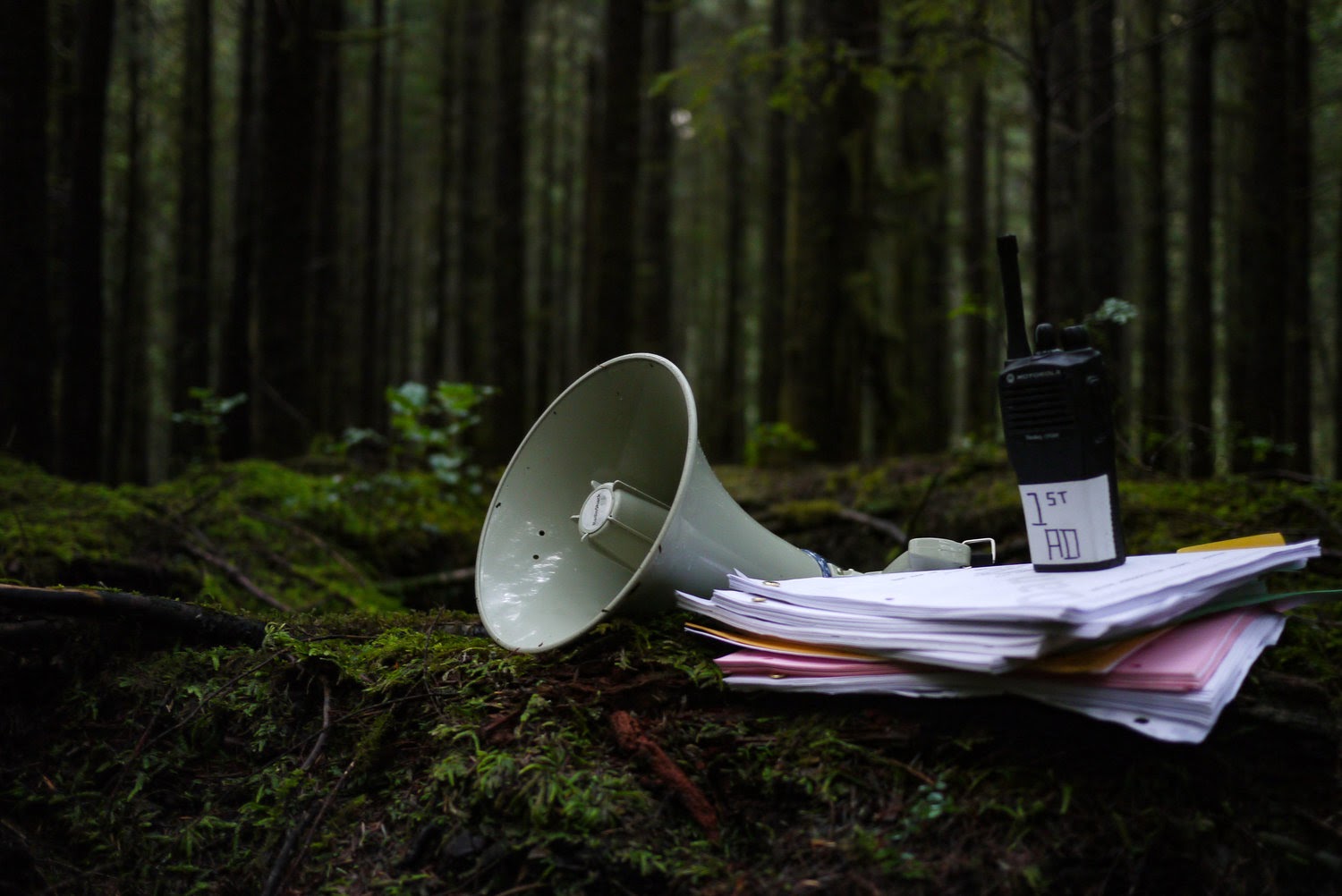 Essential Guide: Film Crew Positions | Wrapbook