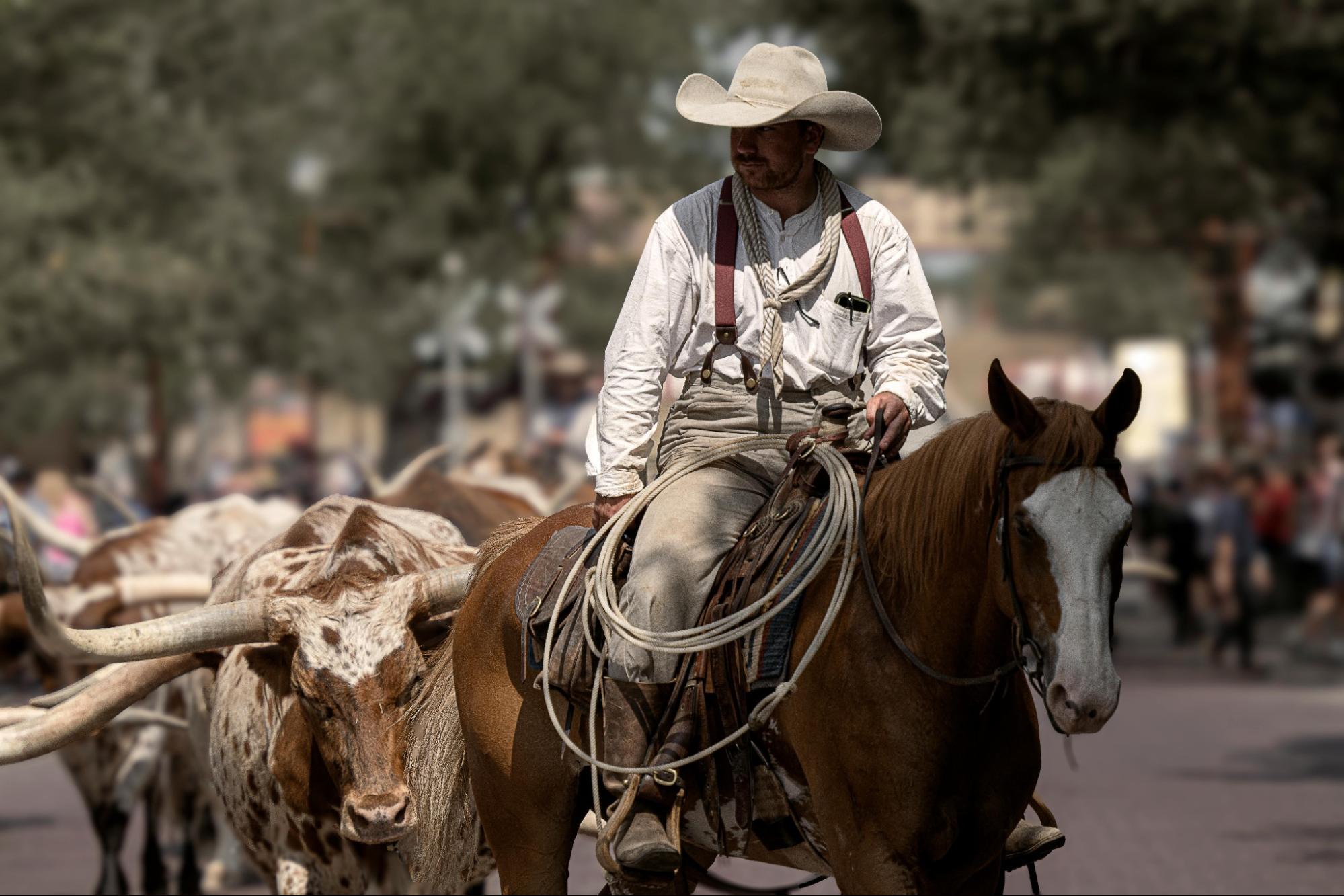 Wage Notice Requirements by State | Wrapbook