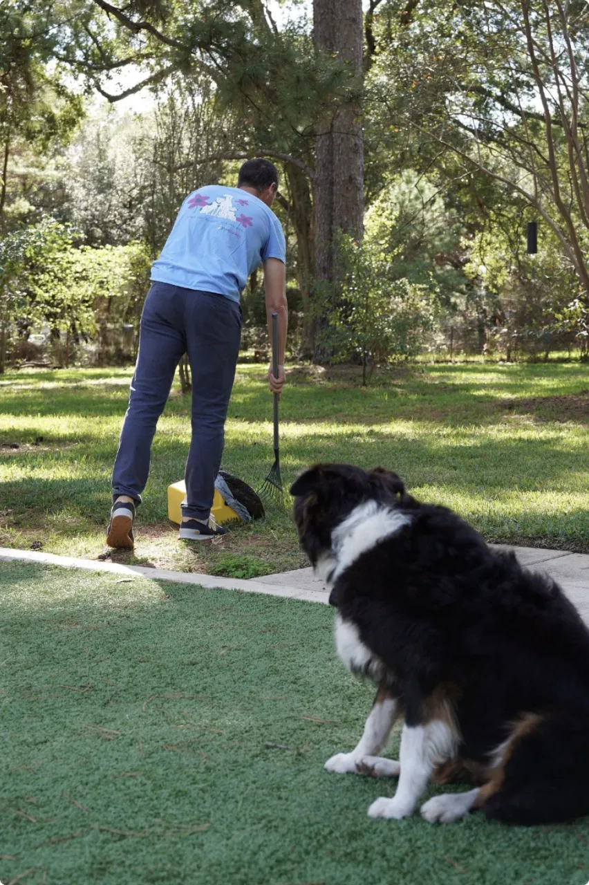 Dog Poop Pick Up Service - Houston | PooRover