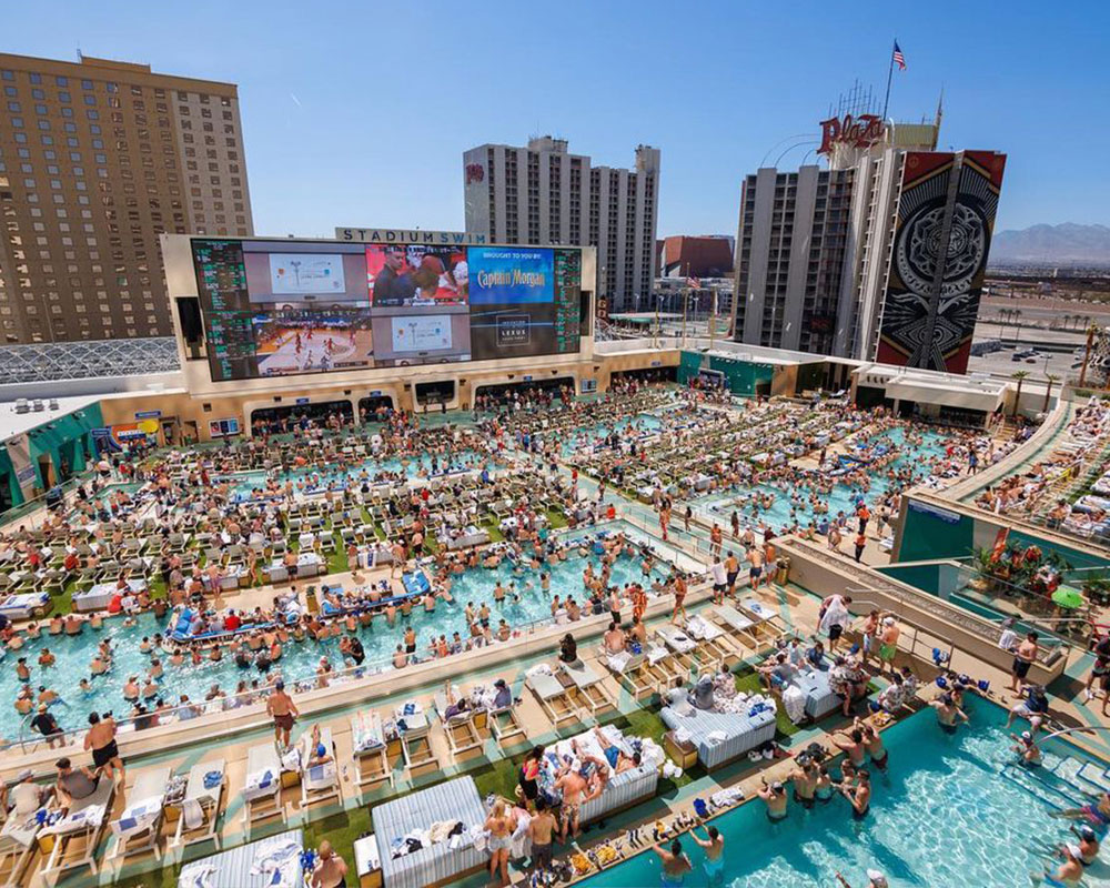 MAC Agency Case Study - Stadium Swim