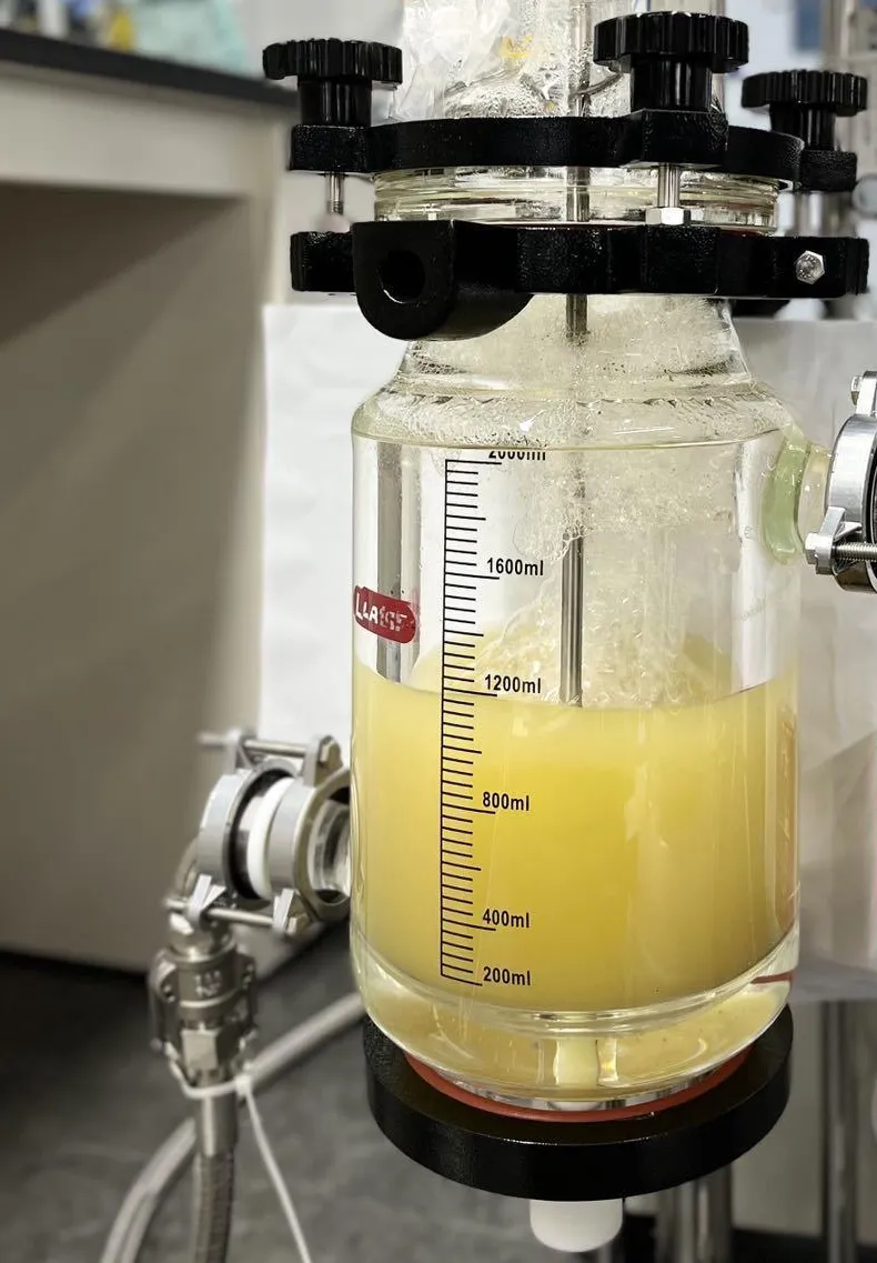 PandaPure - Effortless protein expression and purification