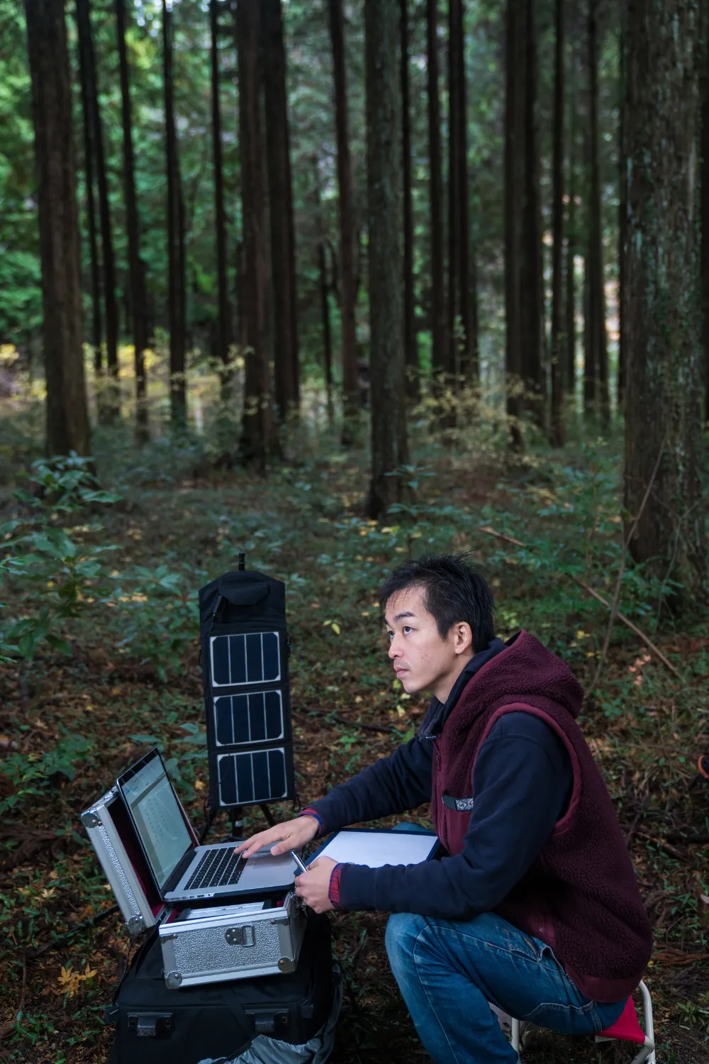 Online MSc Data Science and Analytics