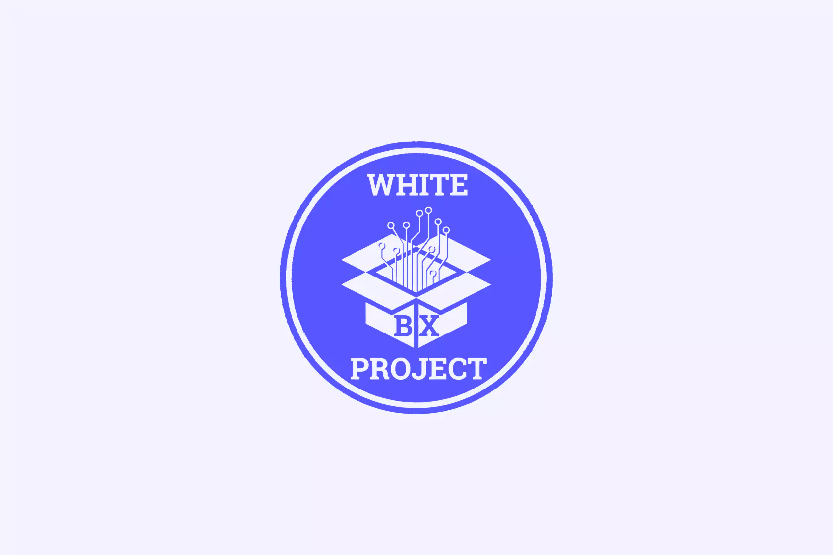 WhiteBox Project: simplifies the complex process of assessing an ...