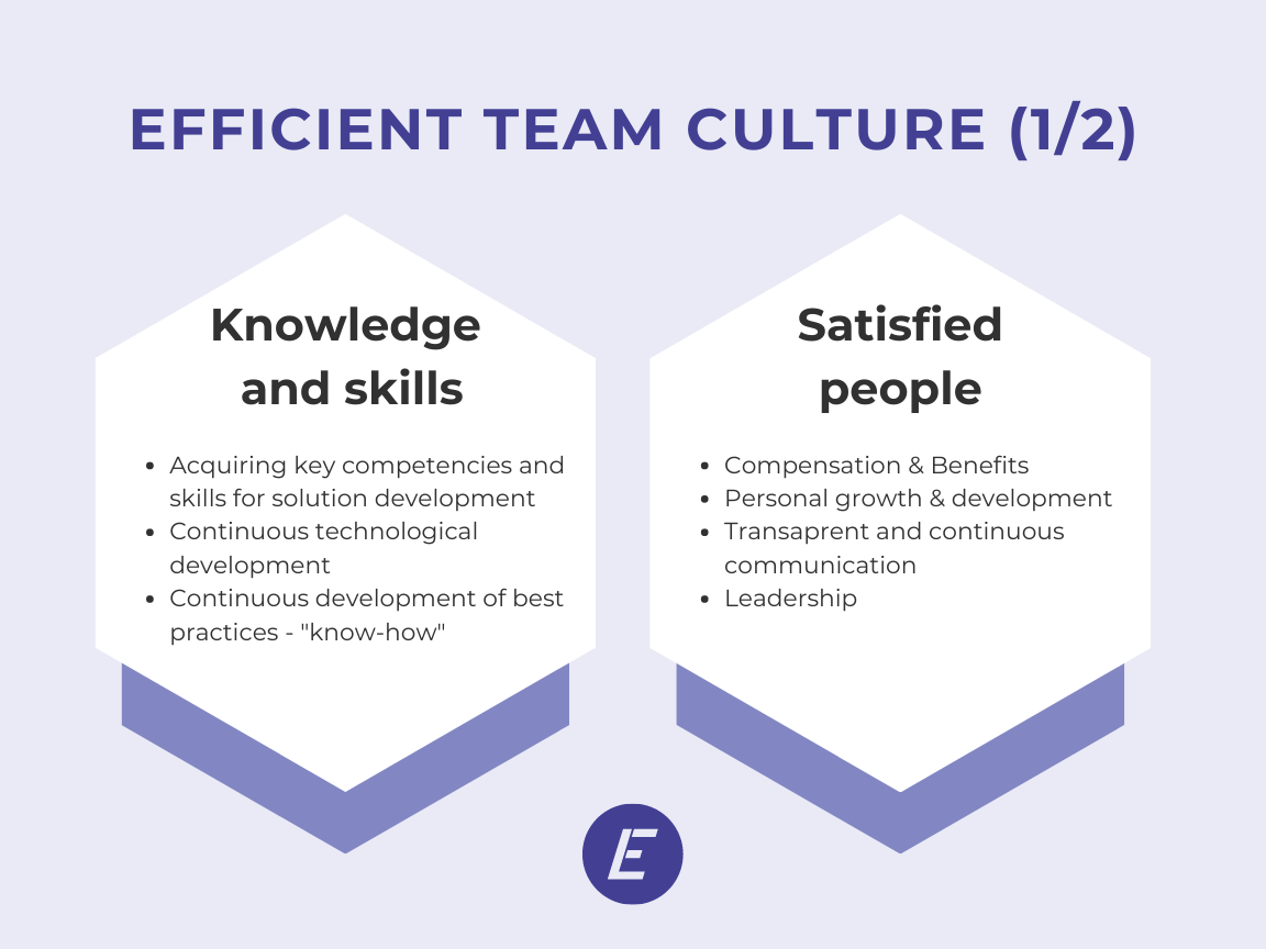 Efficient Team Culture: How to make people both skilled and satisfied ...