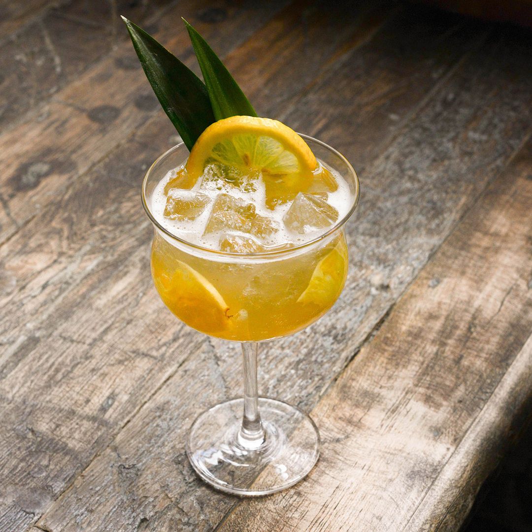 Diego - West Town's Best Neighborhood Bar and Restaurant