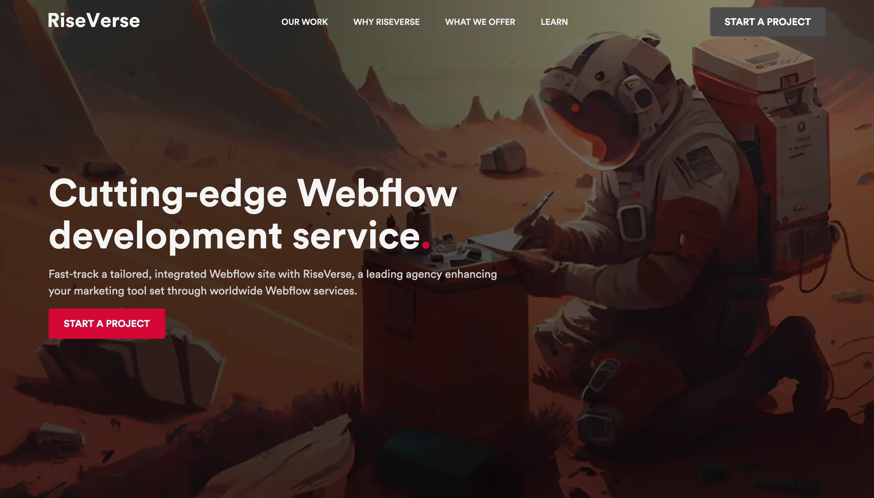 Webflow Development Service | RiseVerse